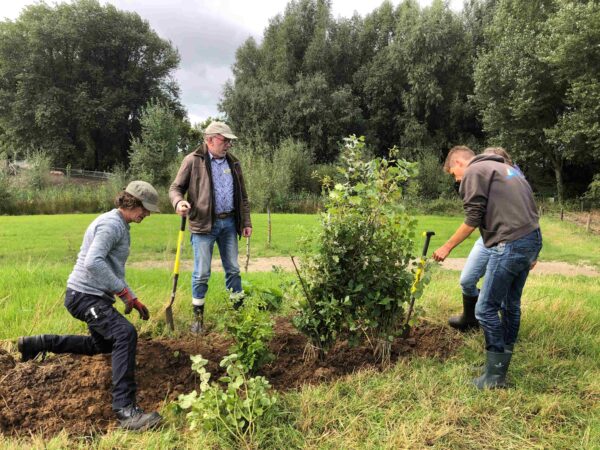 Gratis jonge bomen, struiken en heggen op 12 december - Gemeente ’s ...